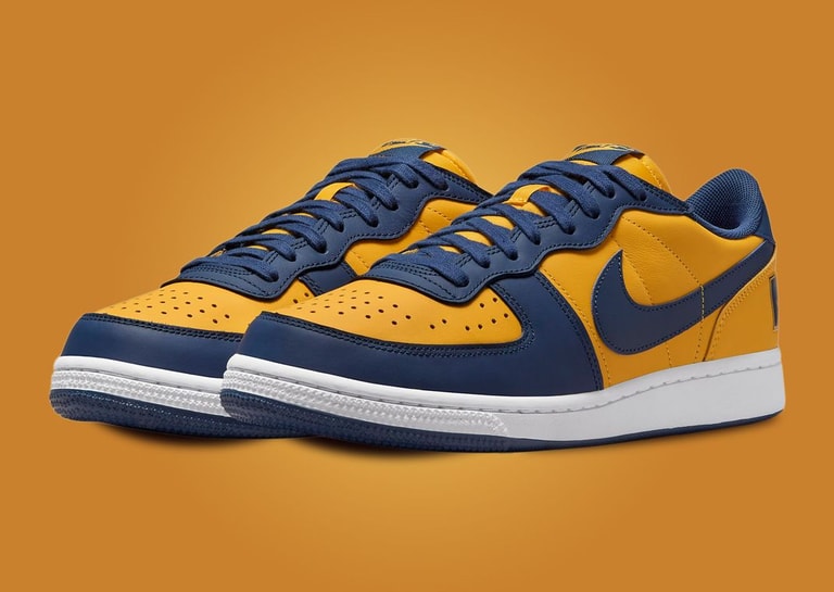 The Nike Terminator Low OG Michigan Drops June 13