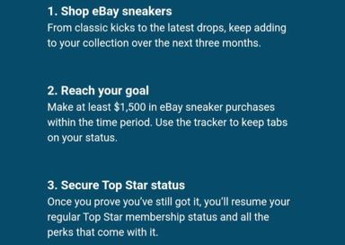 eBay's Top Star Program Explained