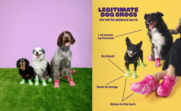 Crocs is Launching Pet Crocs for Dogs