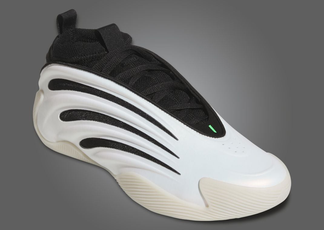 The adidas Harden Vol. 9 Pearlized Releases February 2025