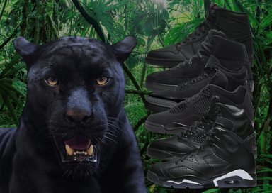 History of Black Cat Air Jordan Sneakers
