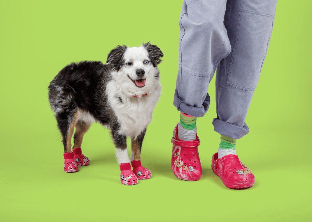 Crocs is Launching Pet Crocs for Dogs