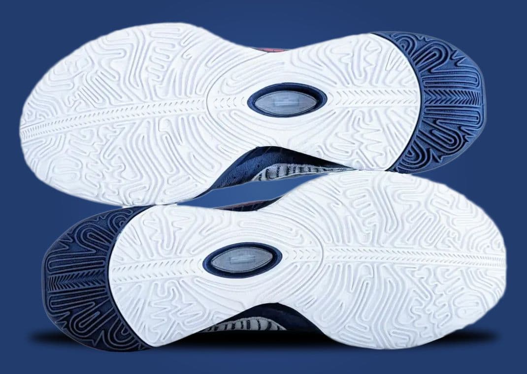 Detailed Look at Two Nike LeBron 21 PEs