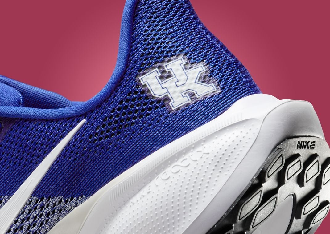 The New NCAA x Nike Pegasus 41 Collection Is Available Right Now