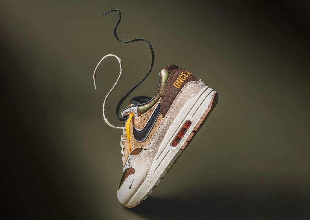 The Division St x Nike Air Max 1 '87 Premium University of Oregon PE ...