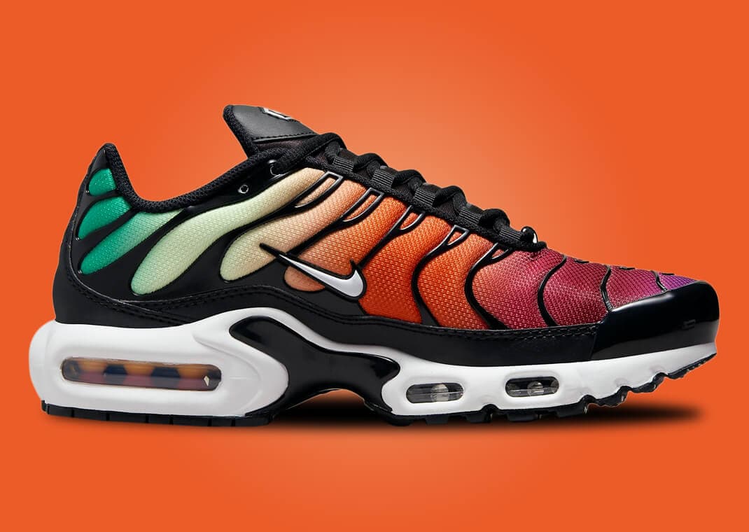 Rainbow Vibes Cover This Nike Air Max Plus
