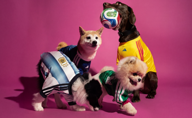 Your Dog Can Celebrate the World Cup Thanks to adidas Pet Jersey Collection