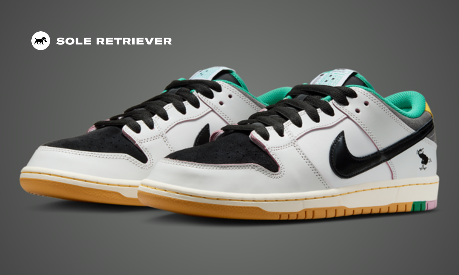 The College Skateboarding Educational Foundation x Nike SB Dunk Low ...