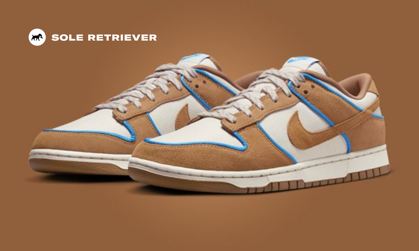 The Nike Dunk Low Premium Front 9 Releases April 2024