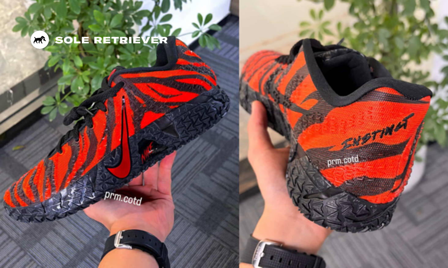 Lions, Tigers, and Grizzlies: Nike Adds Tiger Stripes to an Animal Pack ...