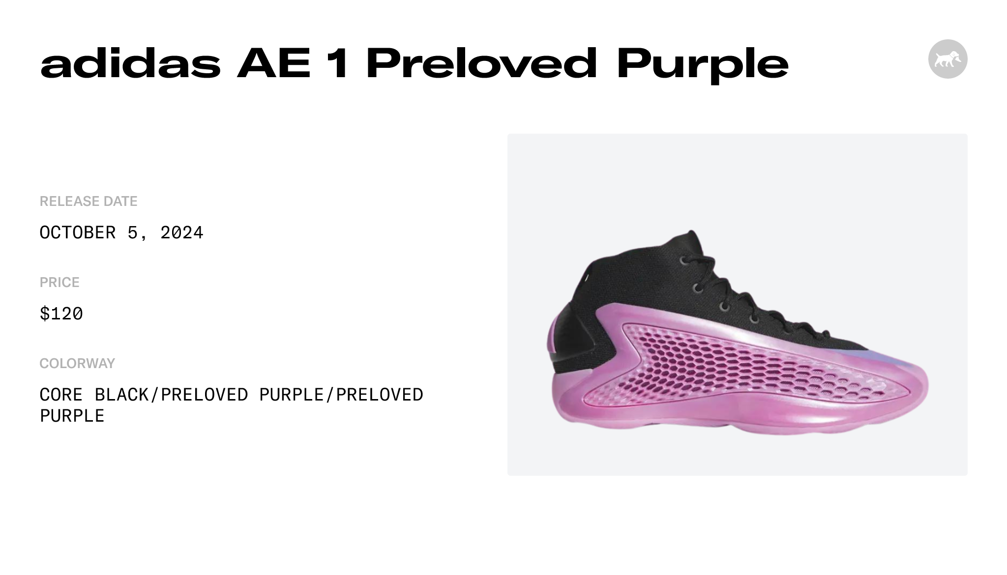 adidas AE 1 Preloved Purple - IG6670 Raffles & Where to Buy