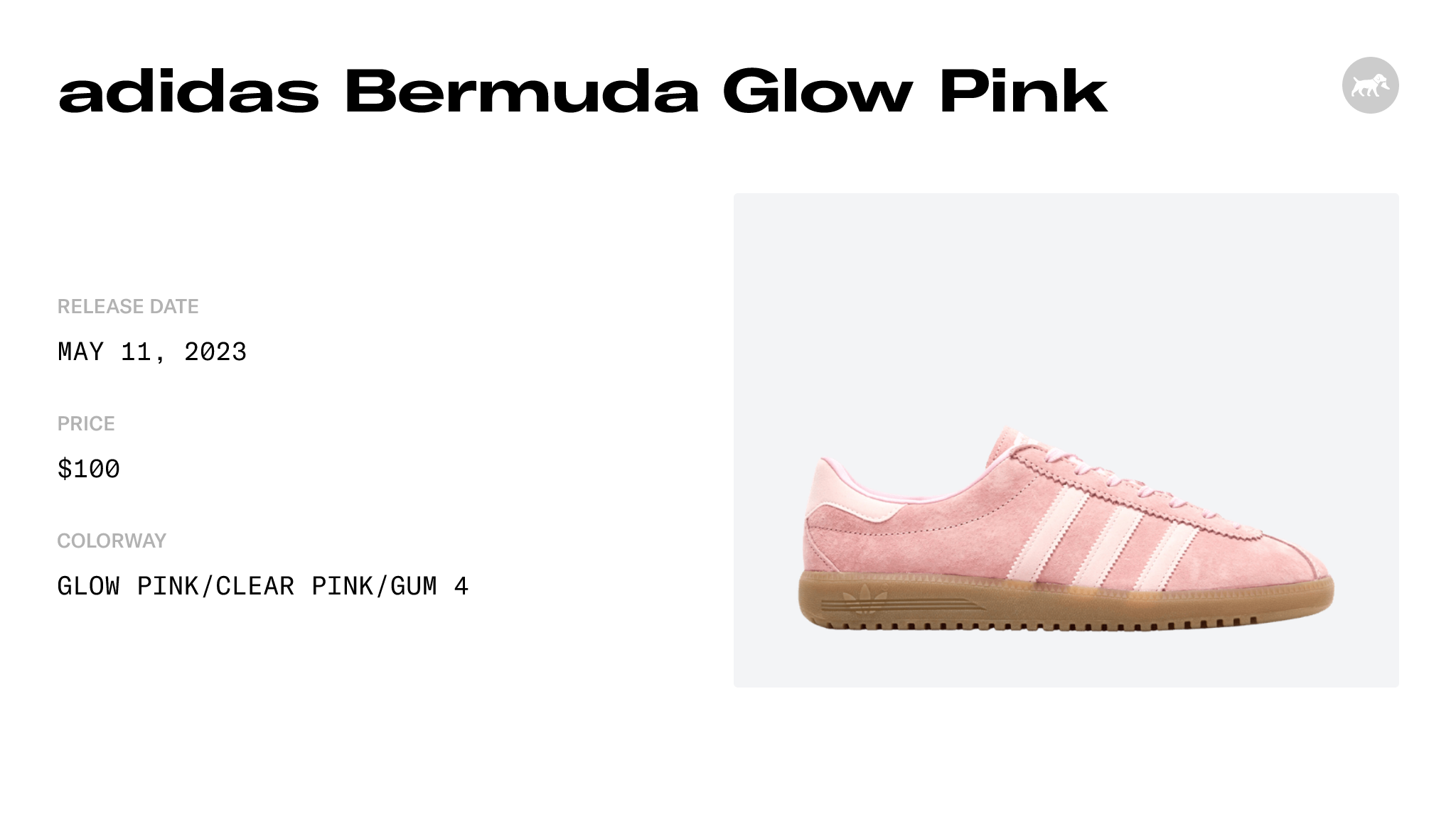 adidas Bermuda Glow Pink - GY7386 Raffles & Where to Buy