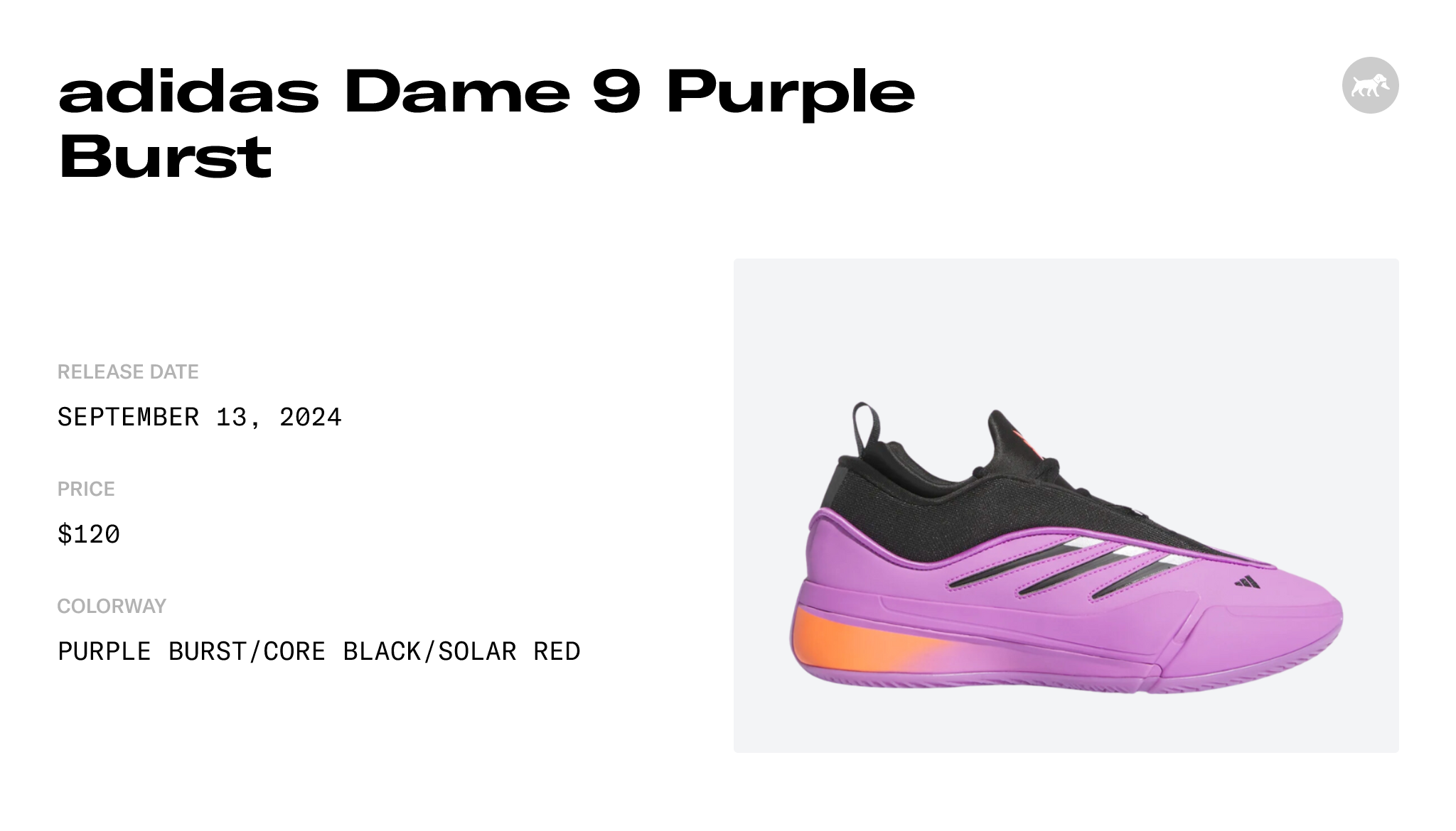 adidas Dame 9 Purple Burst - IE3626 Raffles & Where to Buy