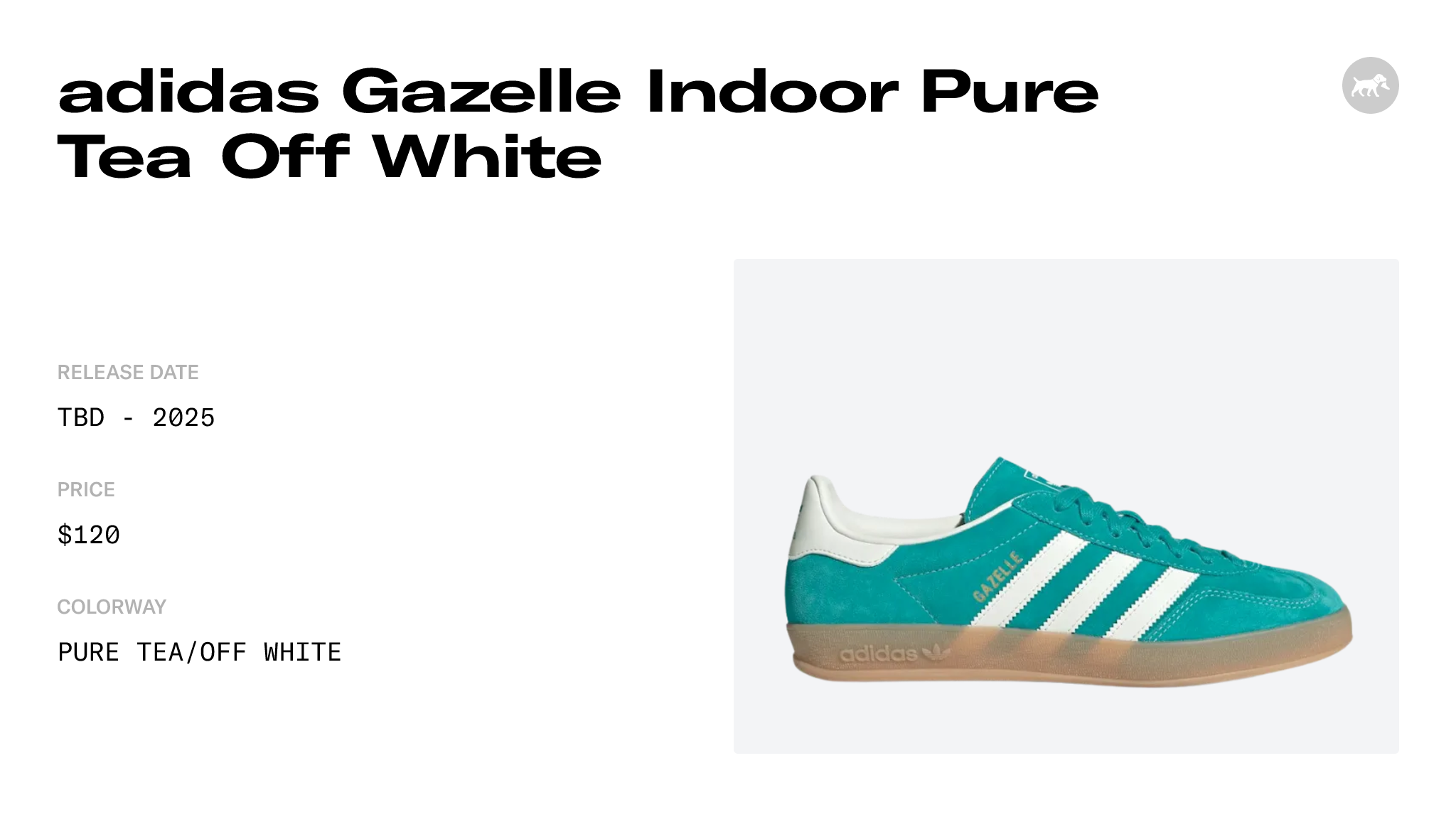 adidas Gazelle Indoor Pure Tea Off White - JQ8391 Release Info