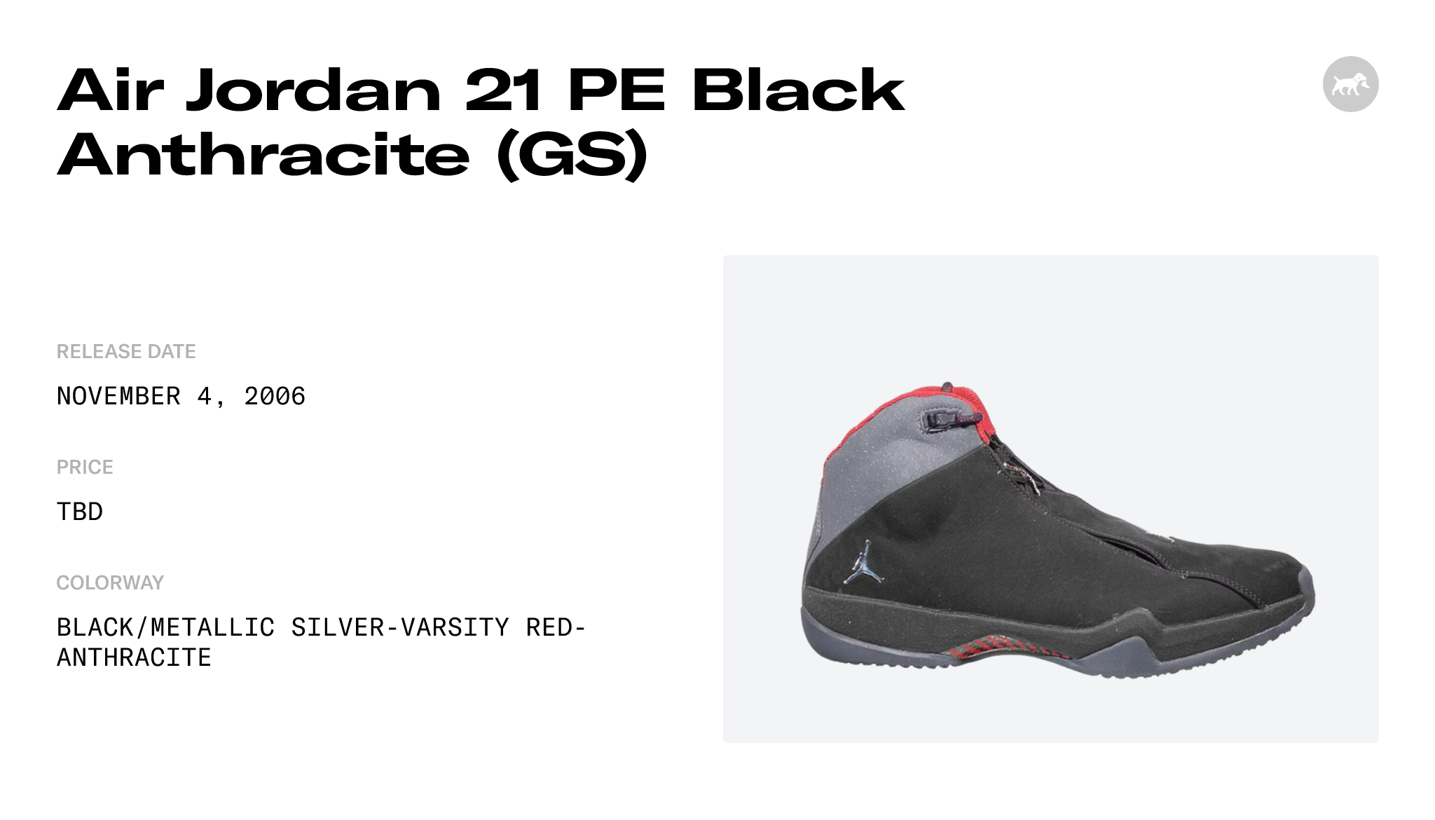 Air Jordan 21 PE Black Anthracite (GS) - 314304-061