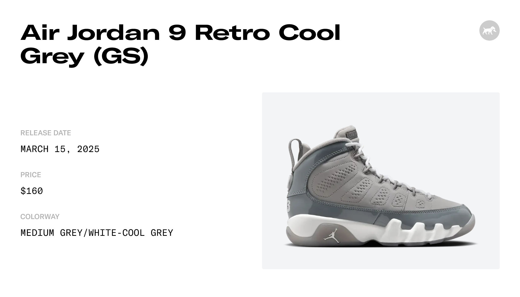 Air Jordan 9 Retro Cool Grey (GS) - HV4574-011 Raffles & Where to Buy