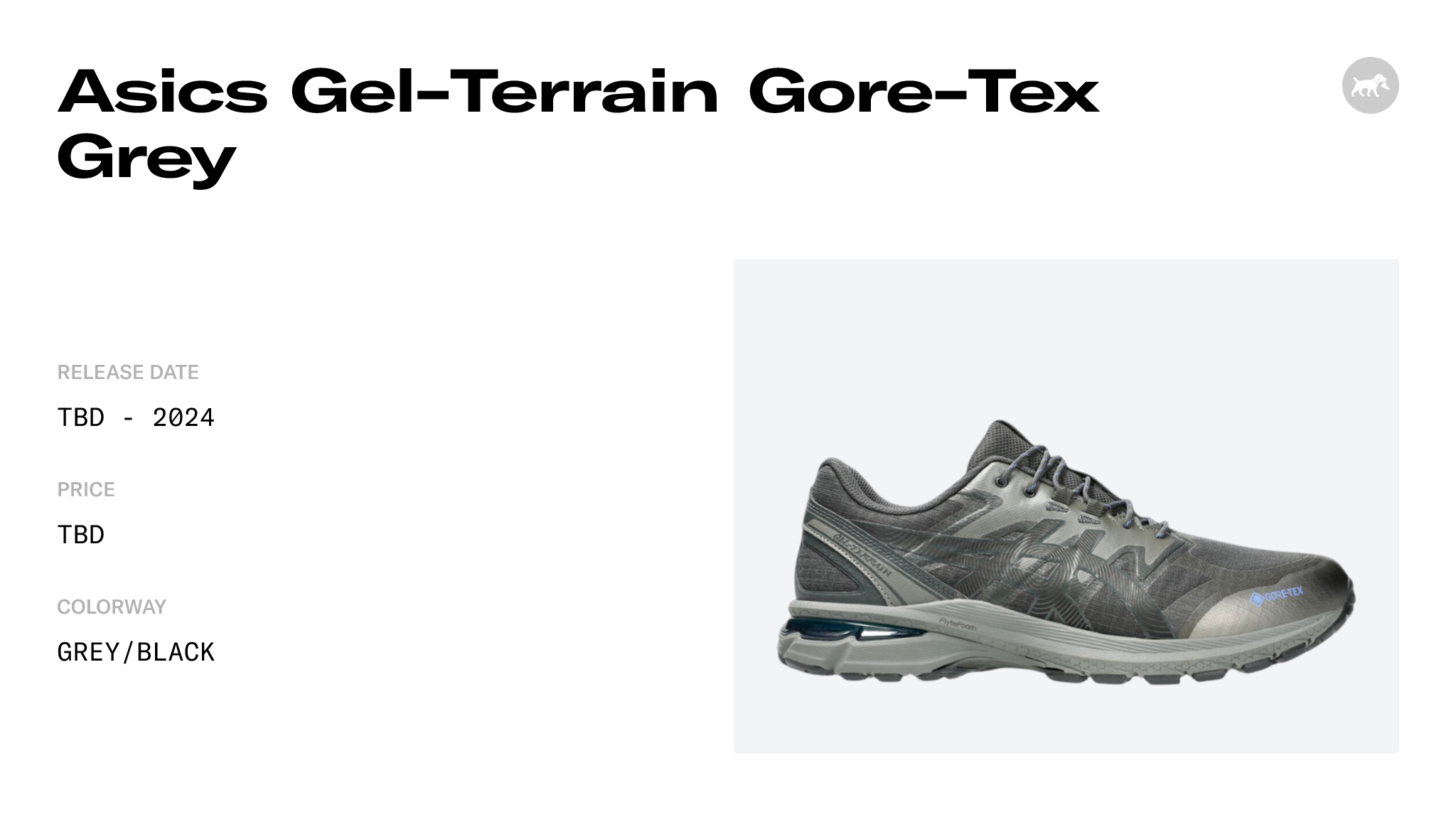 Asics Gel-Terrain Gore-Tex Grey Release Date, Raffles & Where To Buy