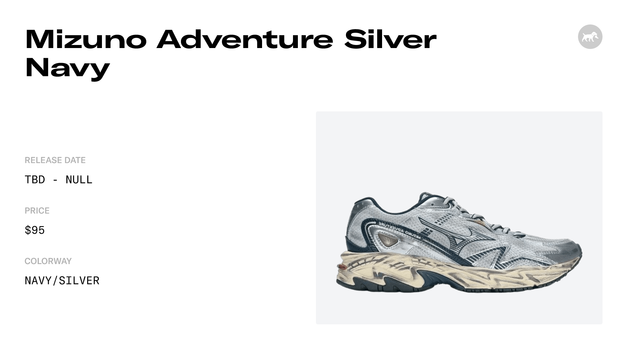 Mizuno Adventure Silver Navy - D1GH230106 Release Info