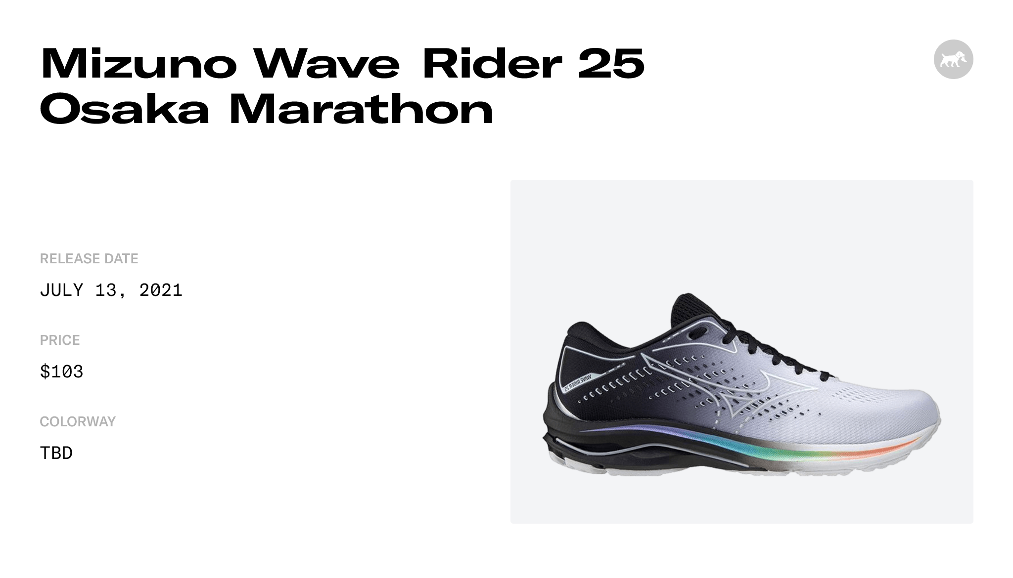 Mizuno Wave Rider 25 Osaka Marathon - J1GC210801 Raffles & Where to Buy