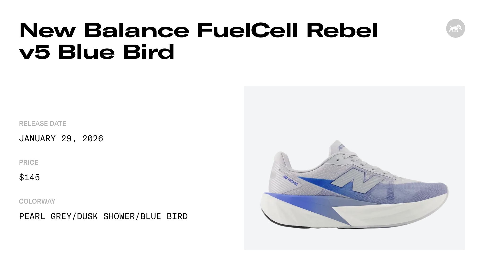 New Balance FuelCell Rebel v5 Blue Bird - MFCX9HM Release Info