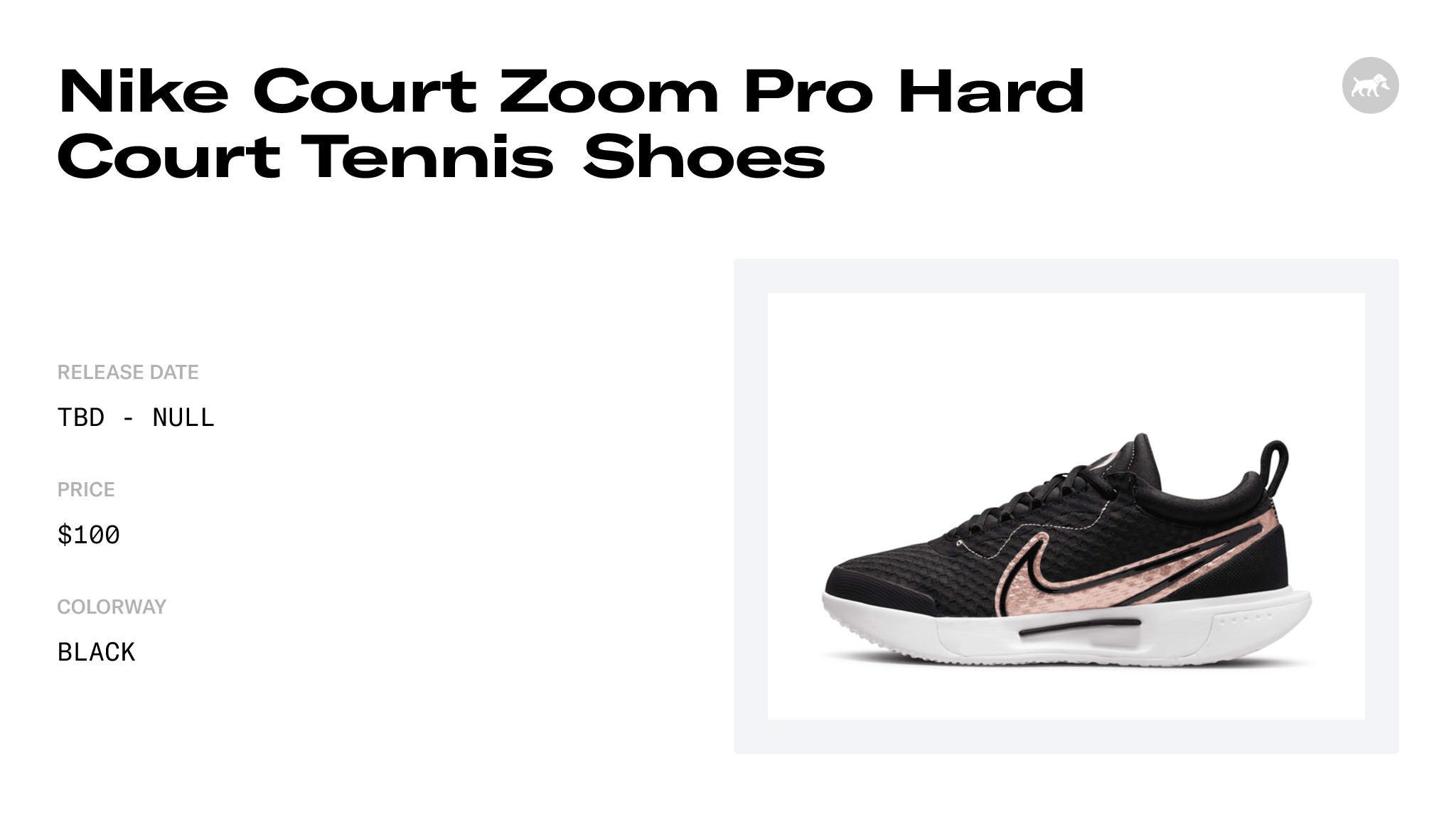 Nike Court Zoom Pro Hard Court Tennis Shoes - DH0990-091 Release Info