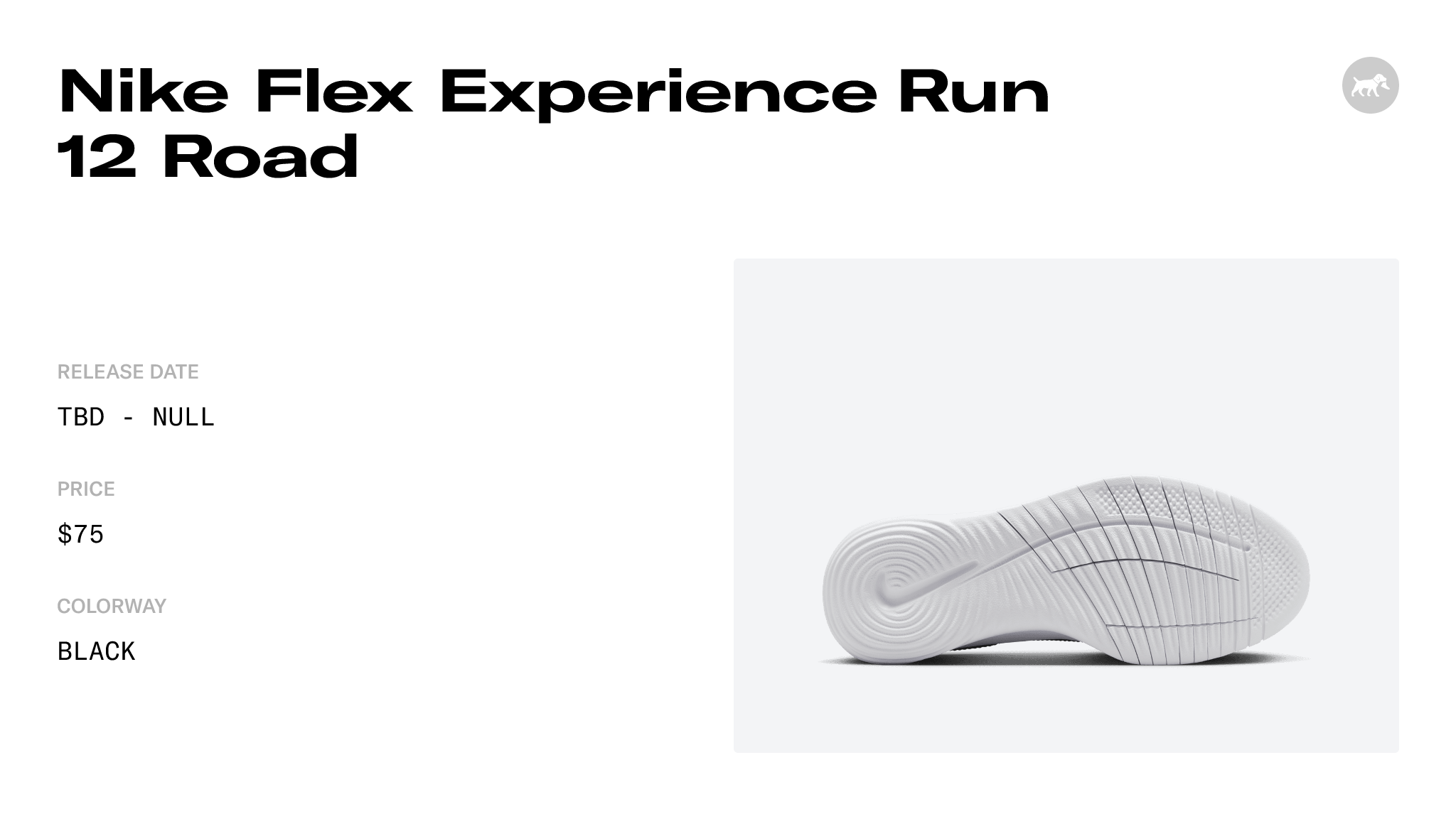Nike Flex Experience Run 12 Road - DV0746-004 Release Info