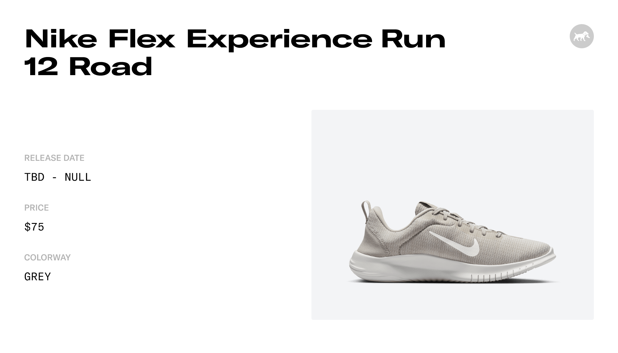 Nike Flex Experience Run 12 Road - DV0746-006 Release Info