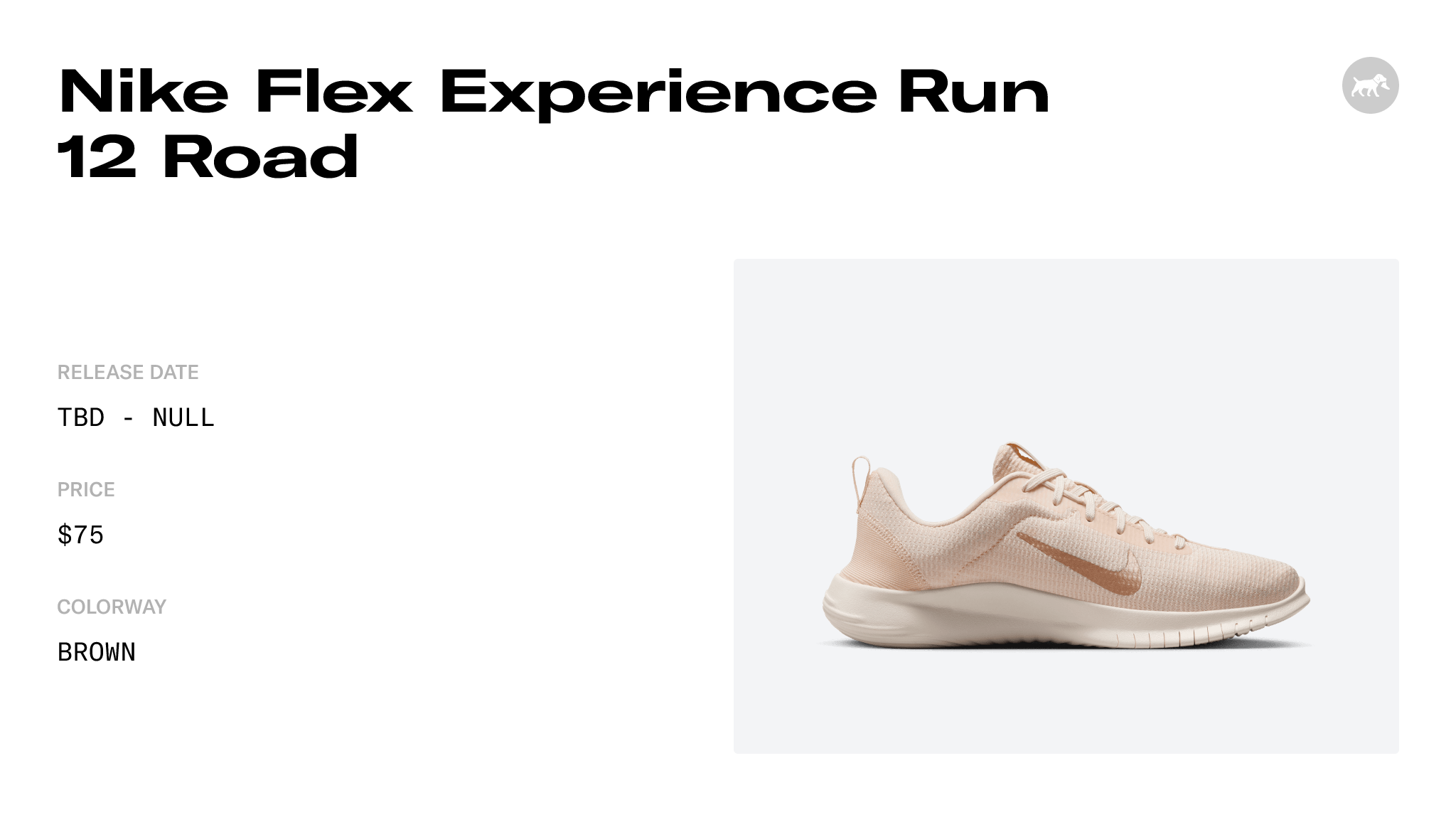 Nike Flex Experience Run 12 Road - DV0746-800 Release Info