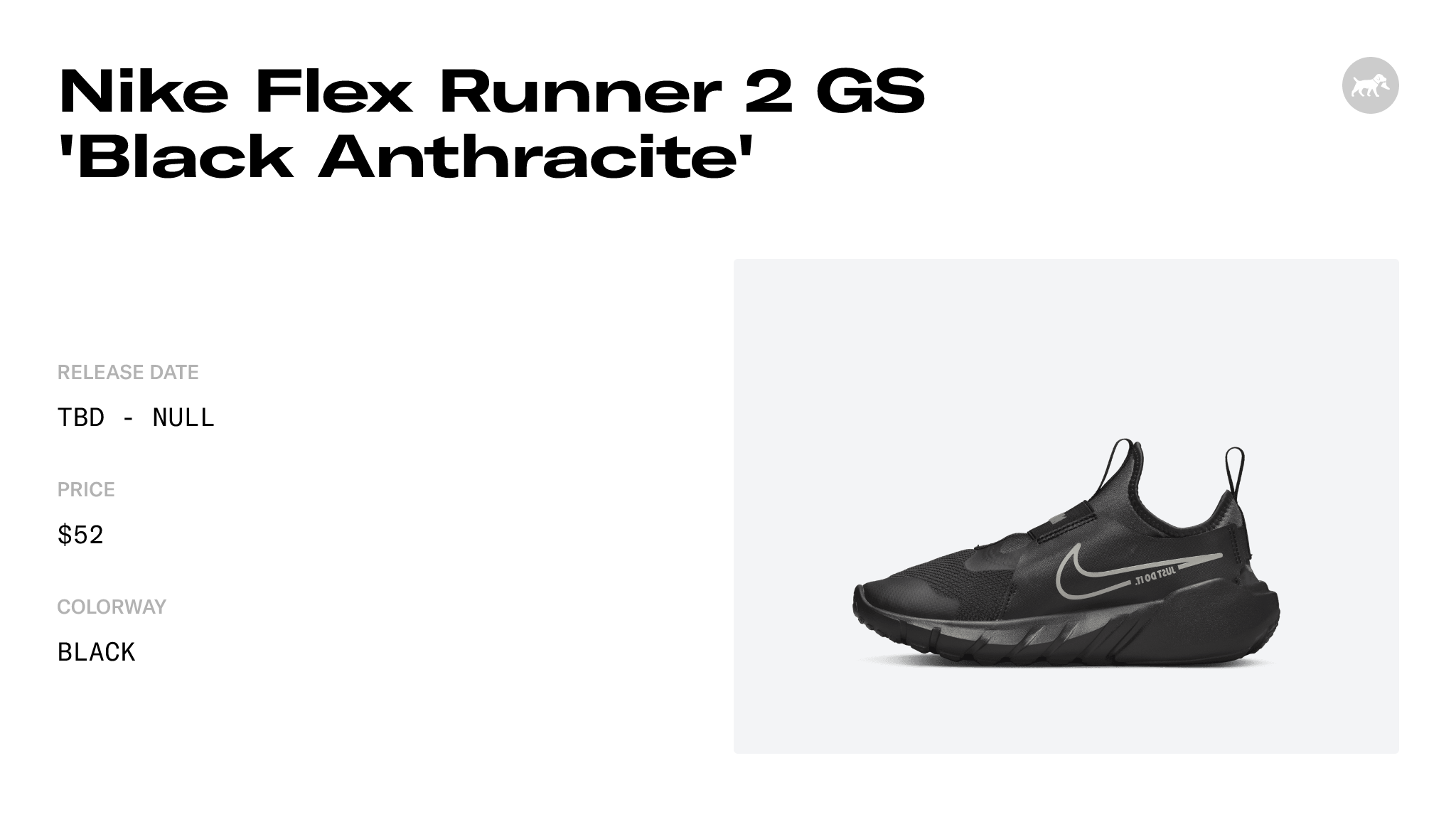 Nike Flex Runner 2 GS 'Black Anthracite' - DJ6038-001 Release Info