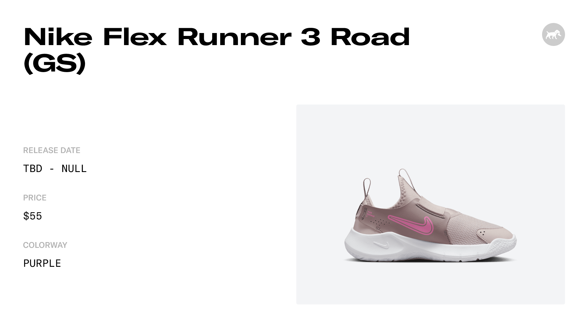 Nike Flex Runner 3 Road (GS) - FN1294-003 Release Info