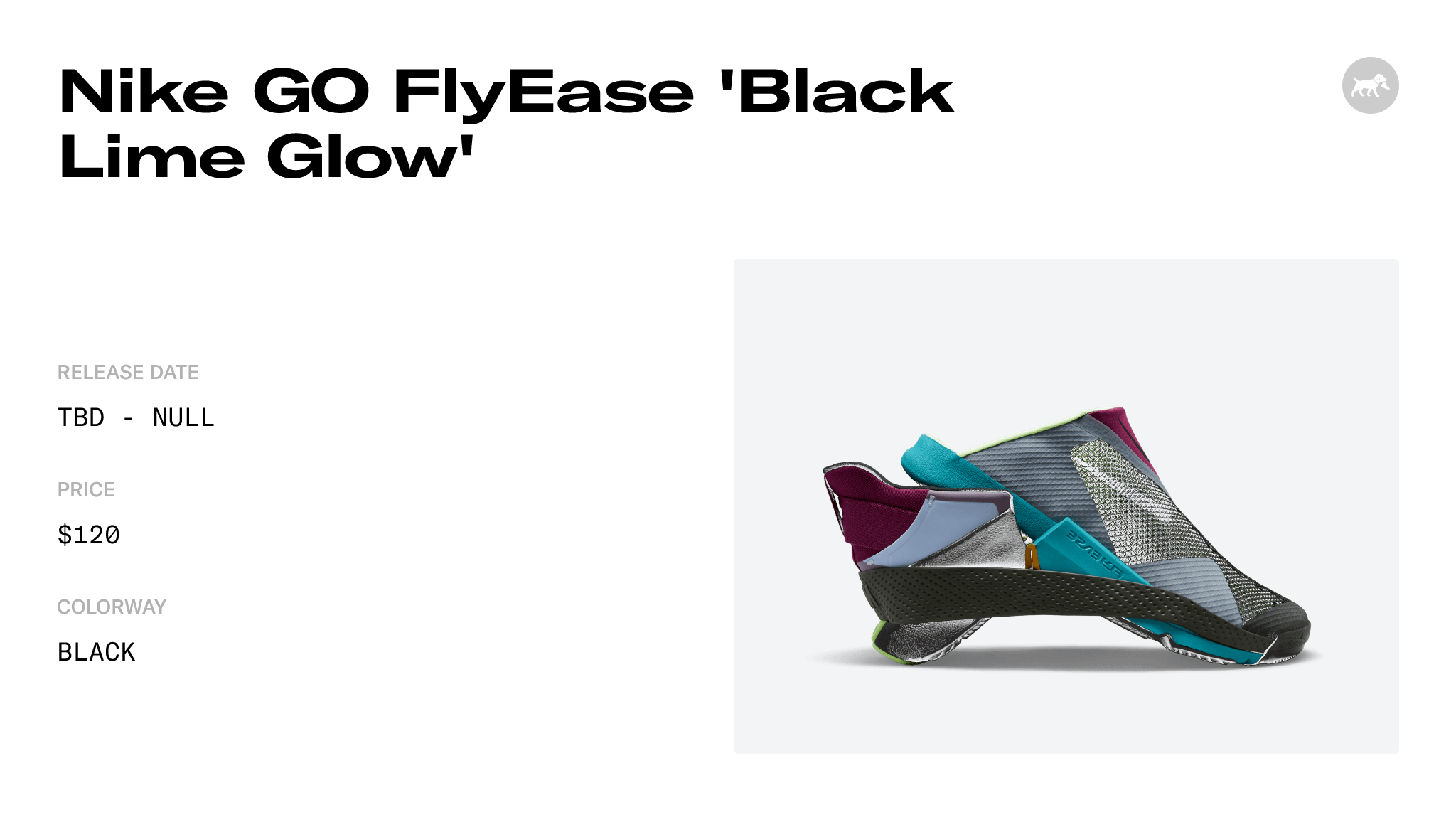 Nike GO FlyEase 'Black Lime Glow' - CW5883-004 Release Info