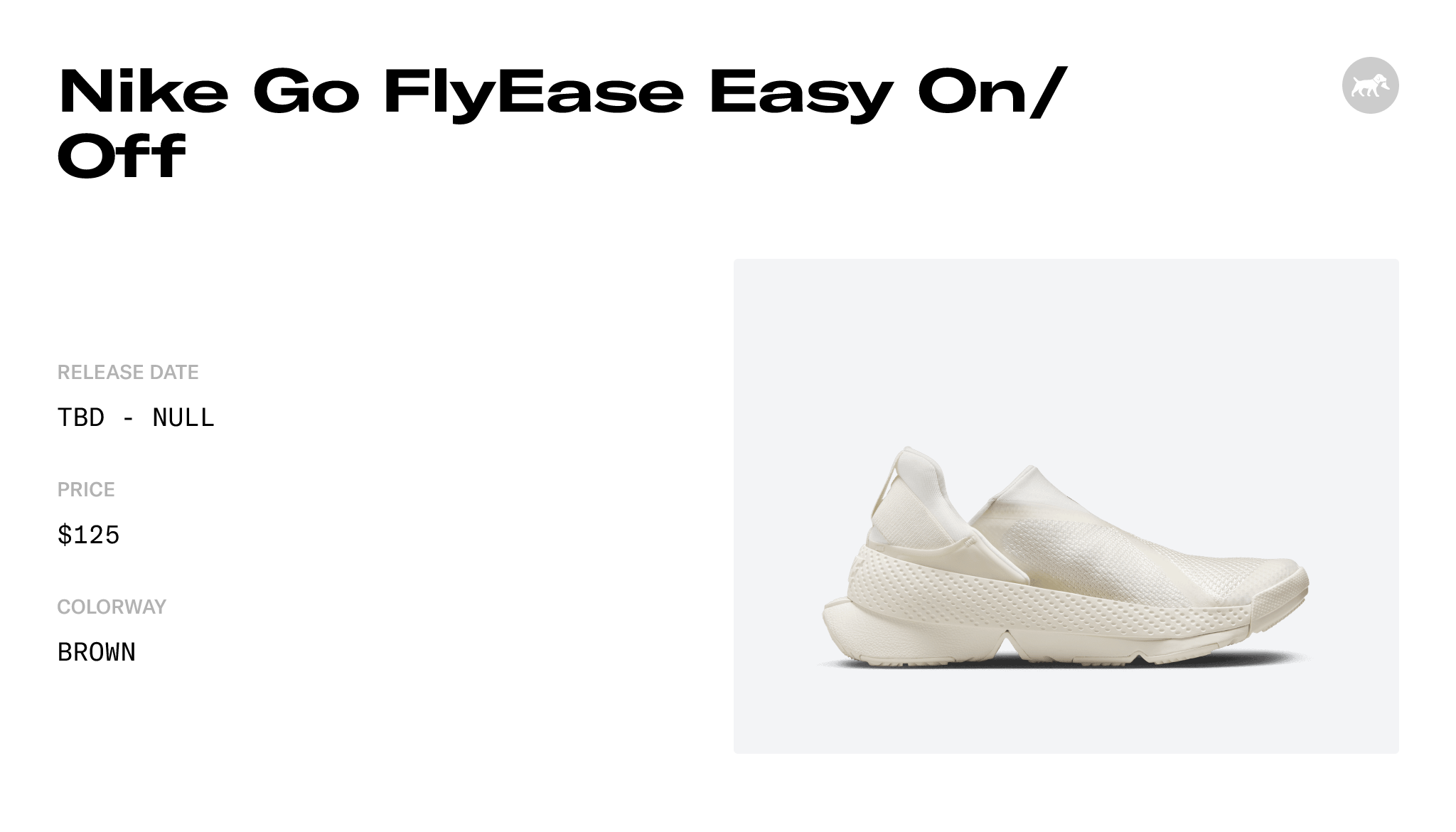 Nike Go FlyEase Easy On/Off - DR5540-105 Release Info