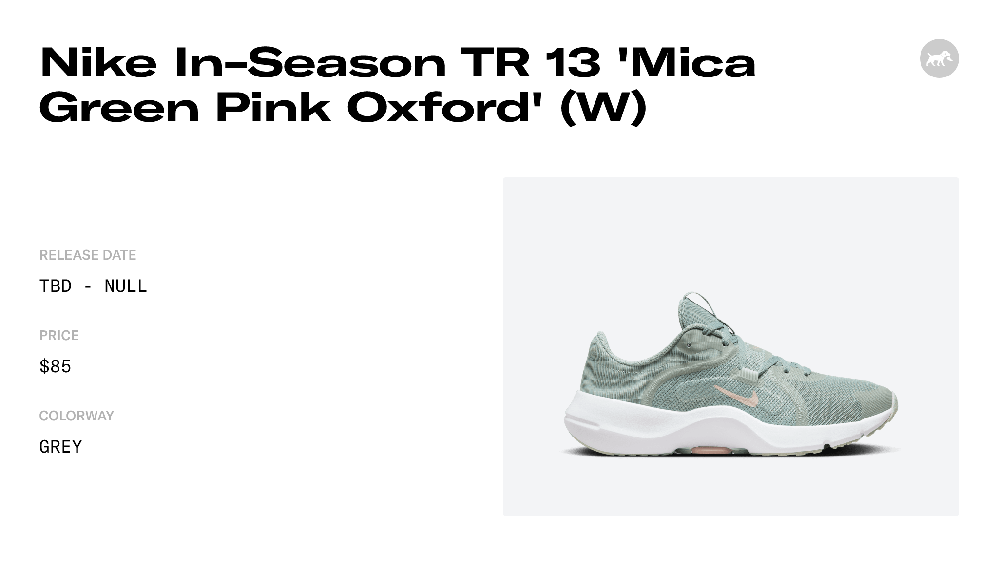 Nike In-Season TR 13 'Mica Green Pink Oxford' (W) - DV3975-300 Release Info