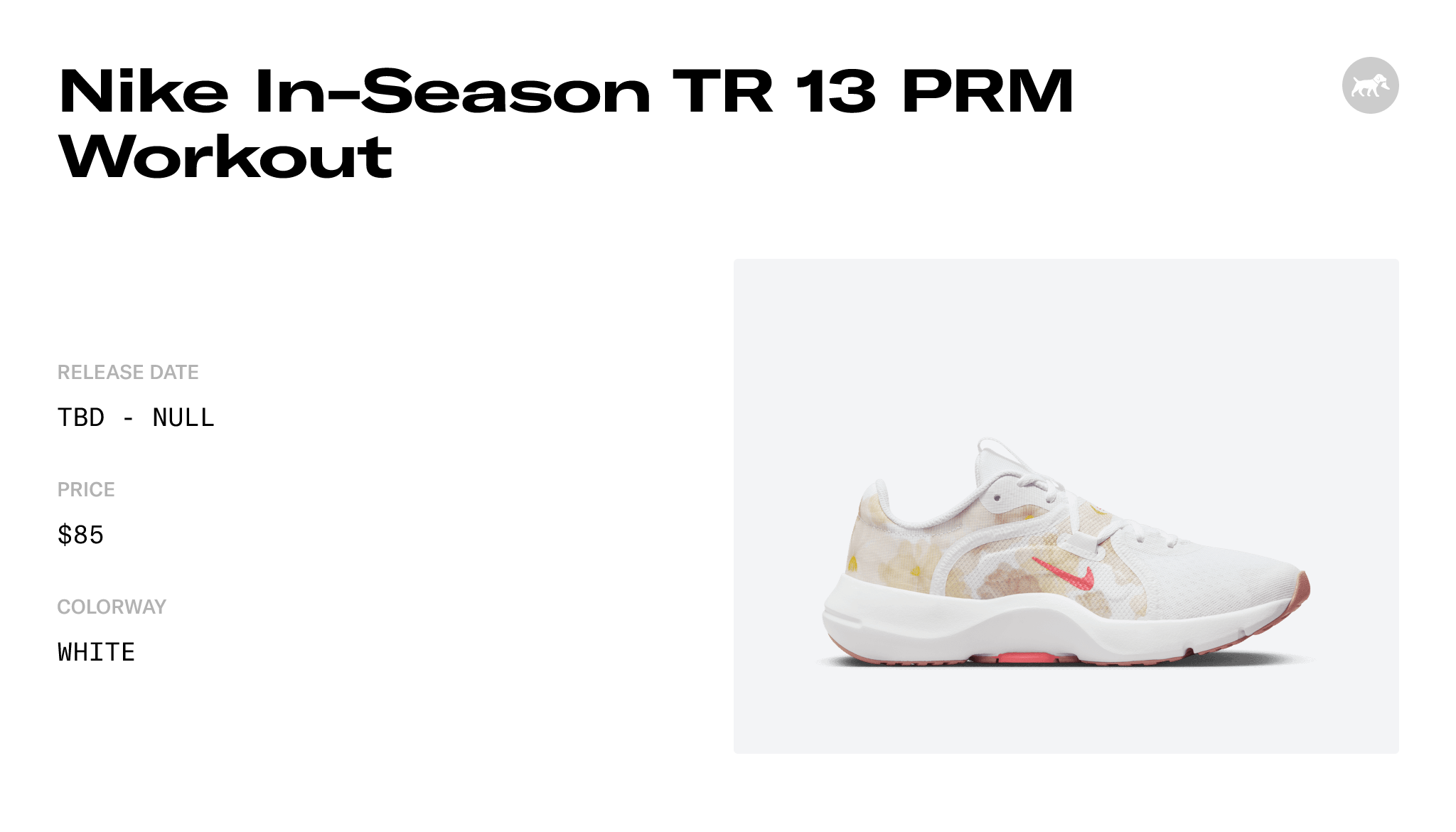 Nike In-Season TR 13 PRM Workout - DZ1552-100 Release Info