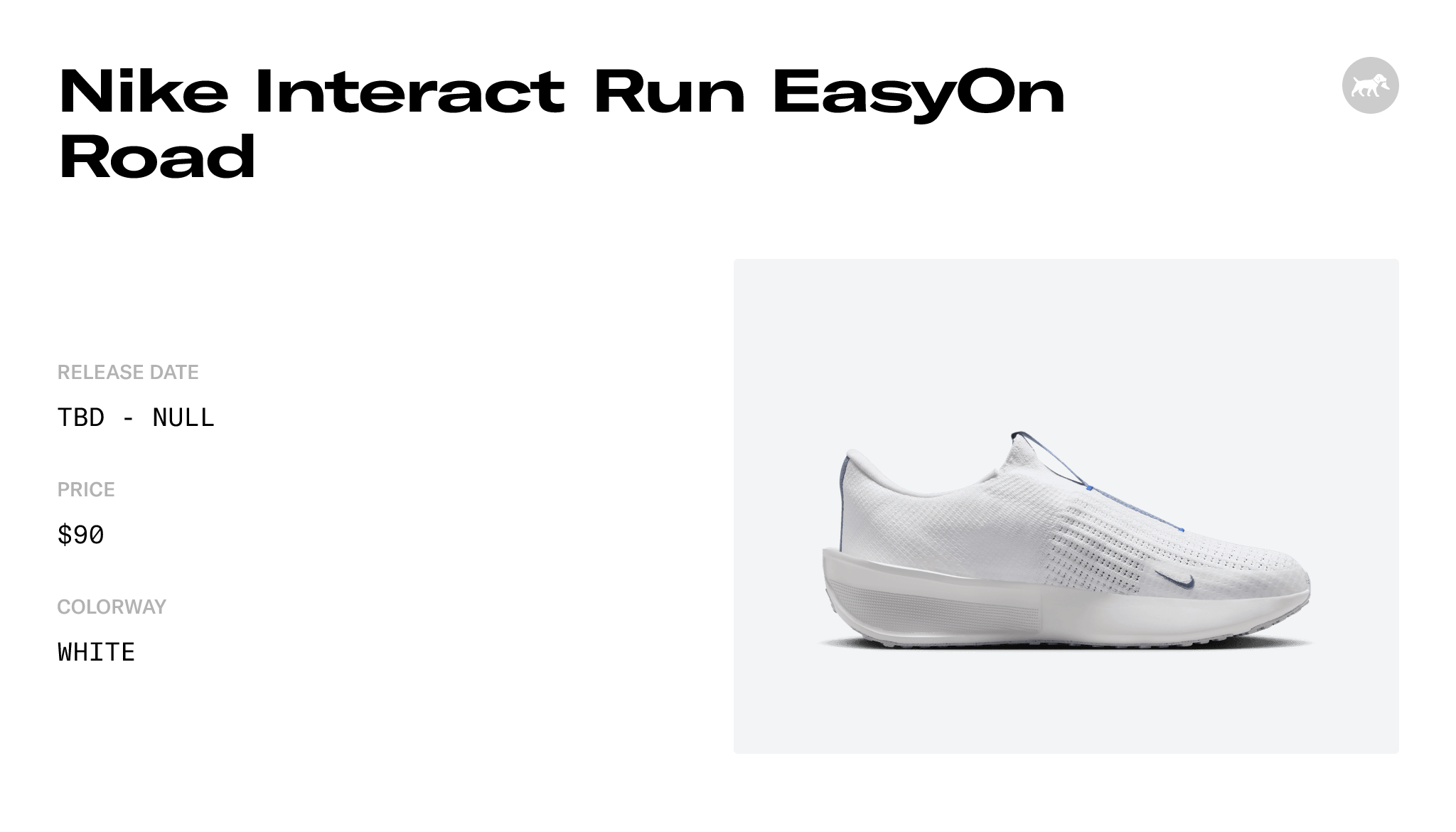Nike Interact Run EasyOn Road - FV5590-101 Release Info