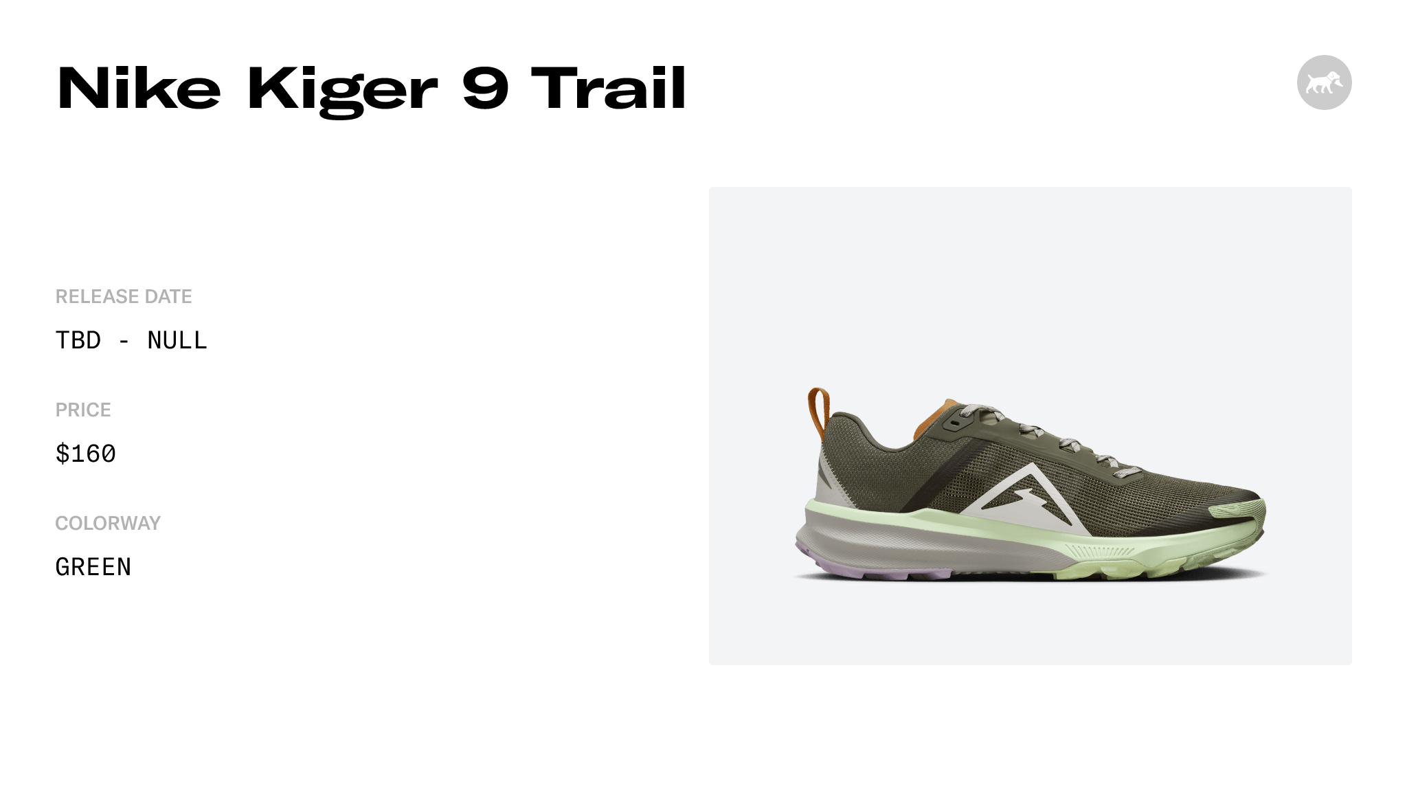 Nike Kiger 9 Trail - DR2693-201 Release Date, Raffles & Where To Buy
