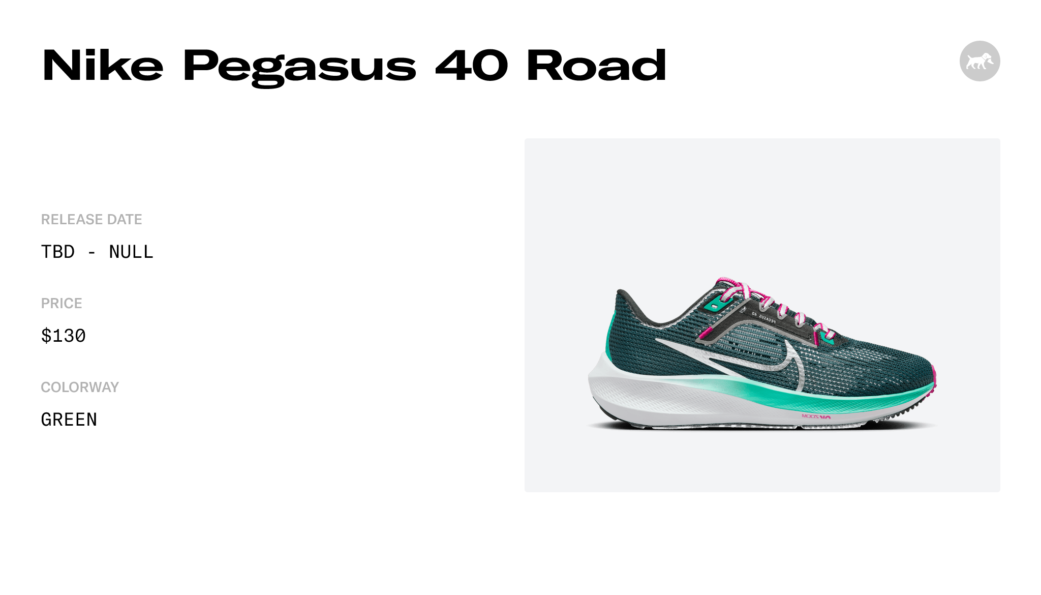 Nike Pegasus 40 Road - DV3854-301 Release Date, Raffles & Where To Buy