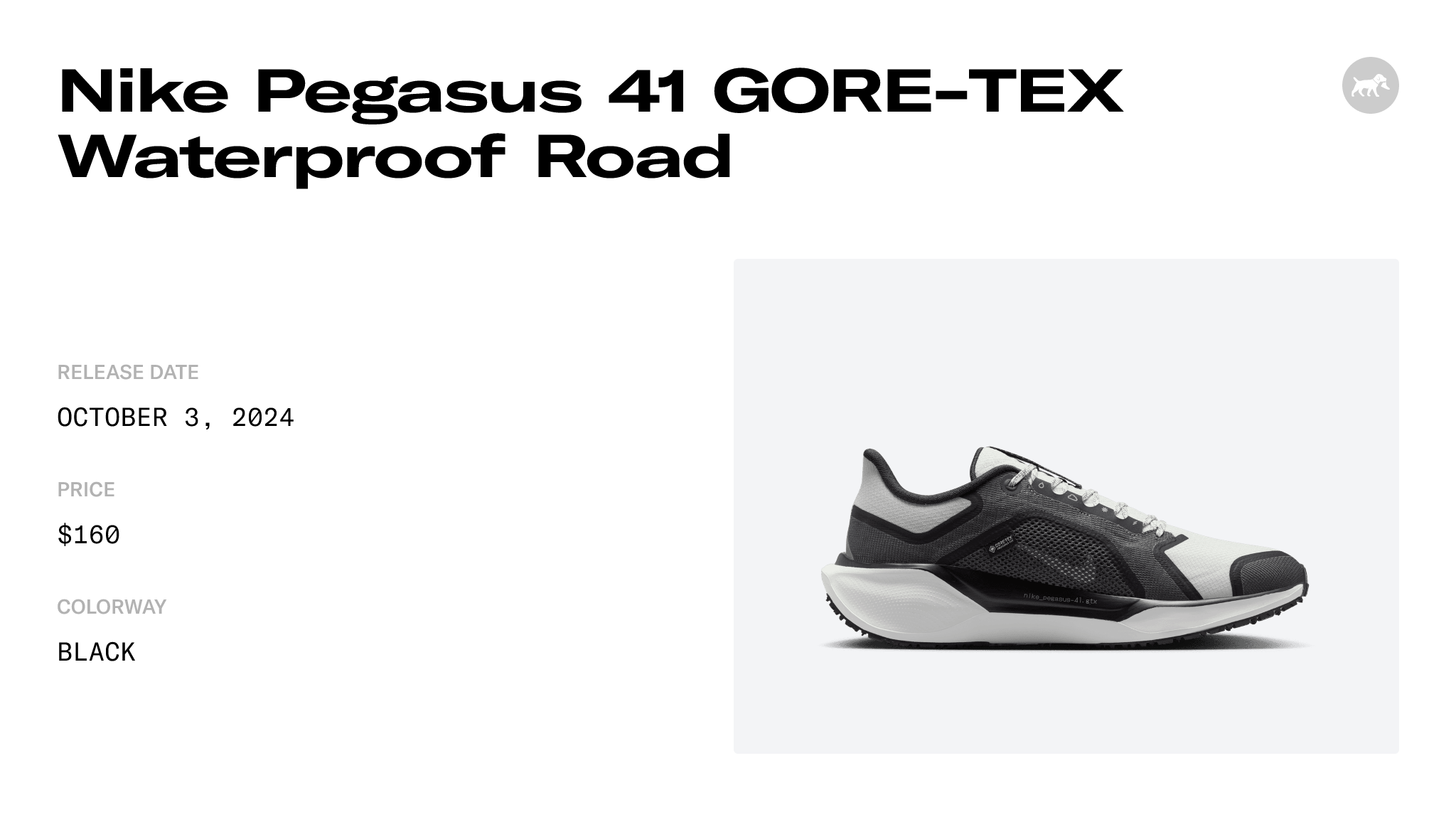 Nike Pegasus 41 GORE-TEX Waterproof Road - FQ1356-002
