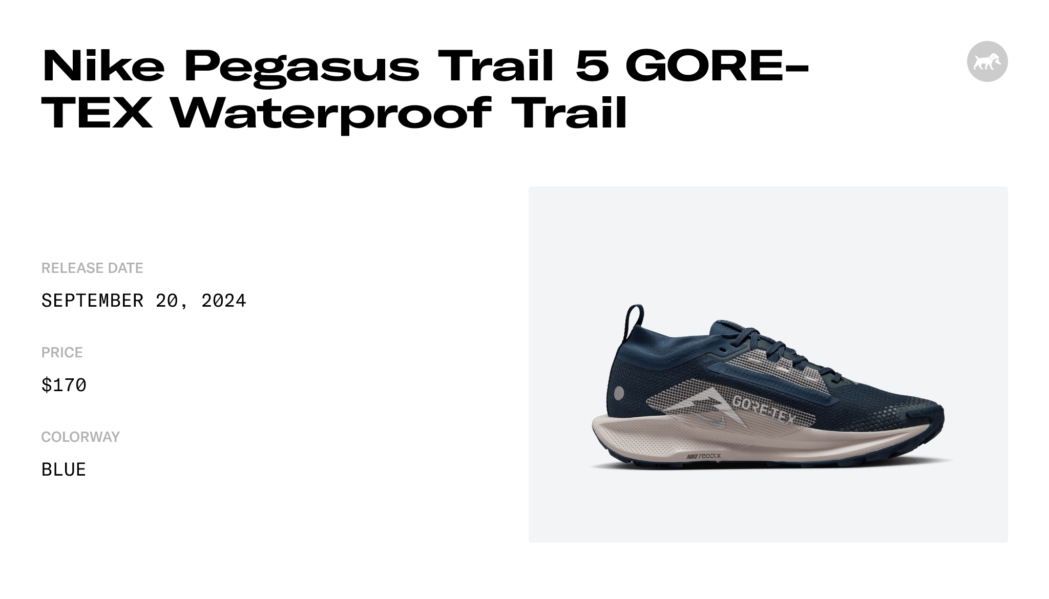 Nike Pegasus Trail 5 GORE-TEX Waterproof Trail - FQ0912-400