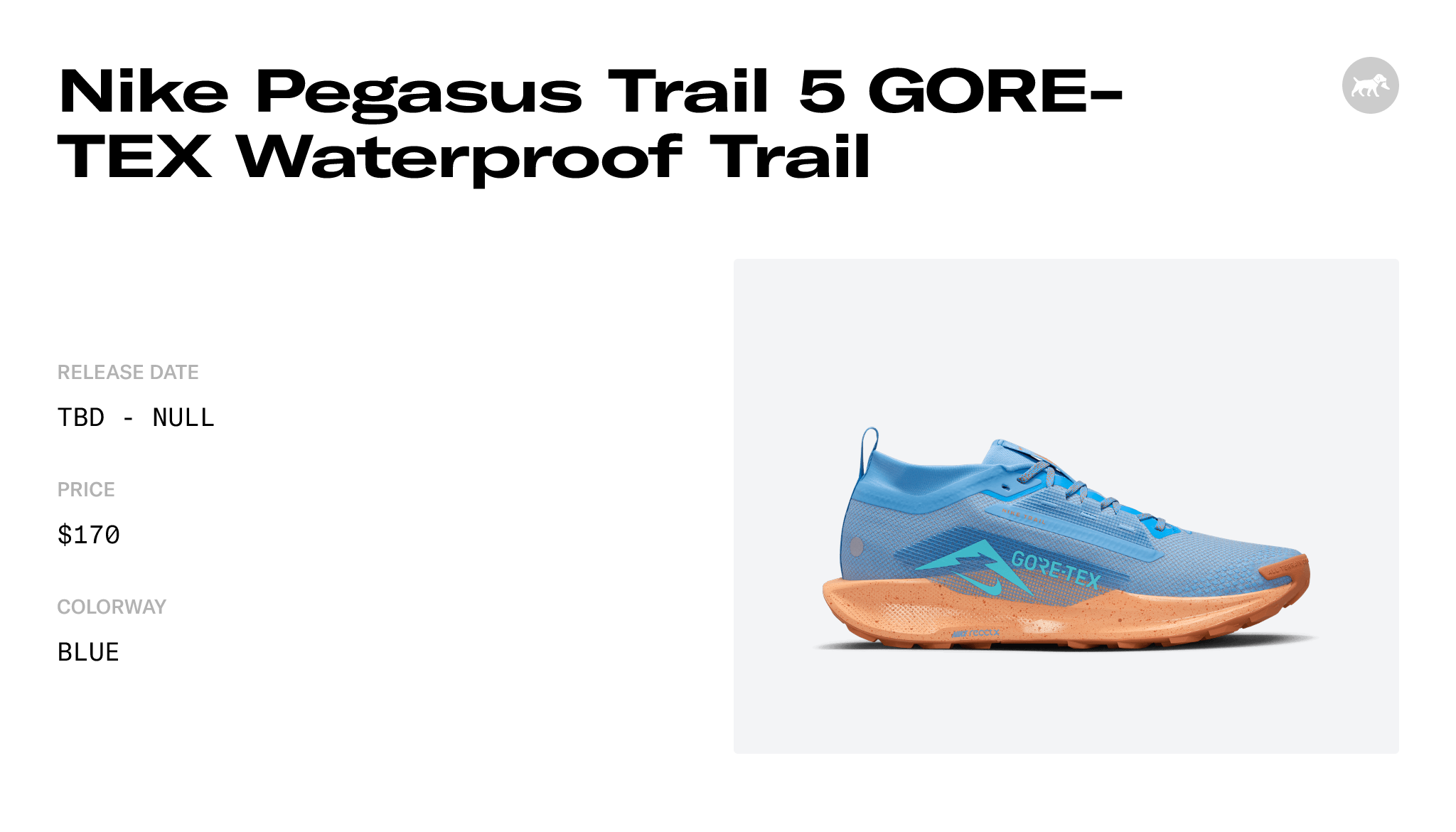 Nike Pegasus Trail 5 GORE-TEX Waterproof Trail - FQ0908-400 Release Info