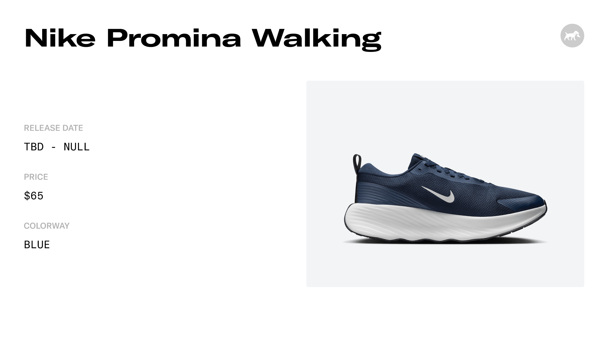 Nike Promina Walking - FV5285-400 Release Date, Raffles & Where To Buy