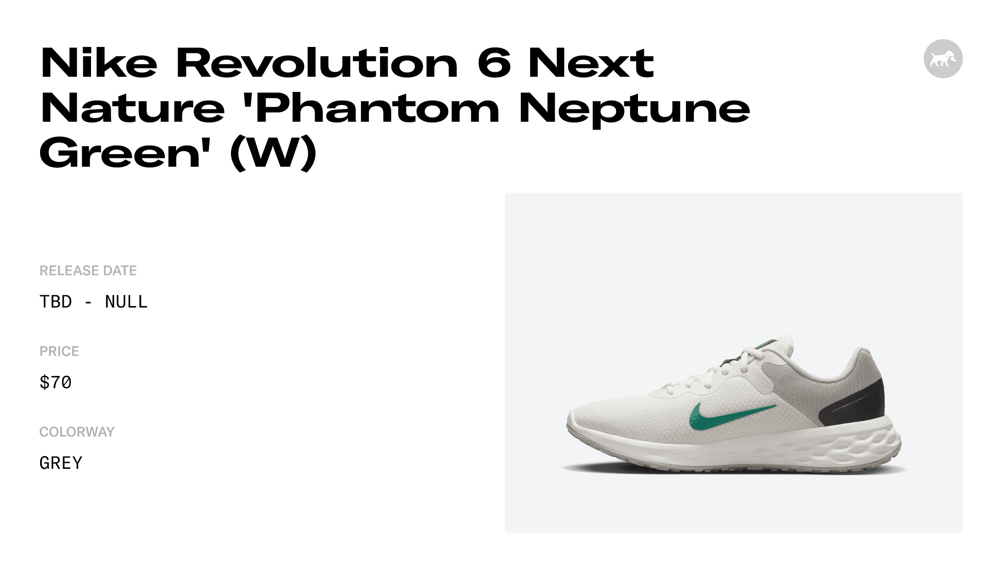 Nike Revolution 6 Next Nature 'Phantom Neptune Green' (W) - DC3729-008 ...