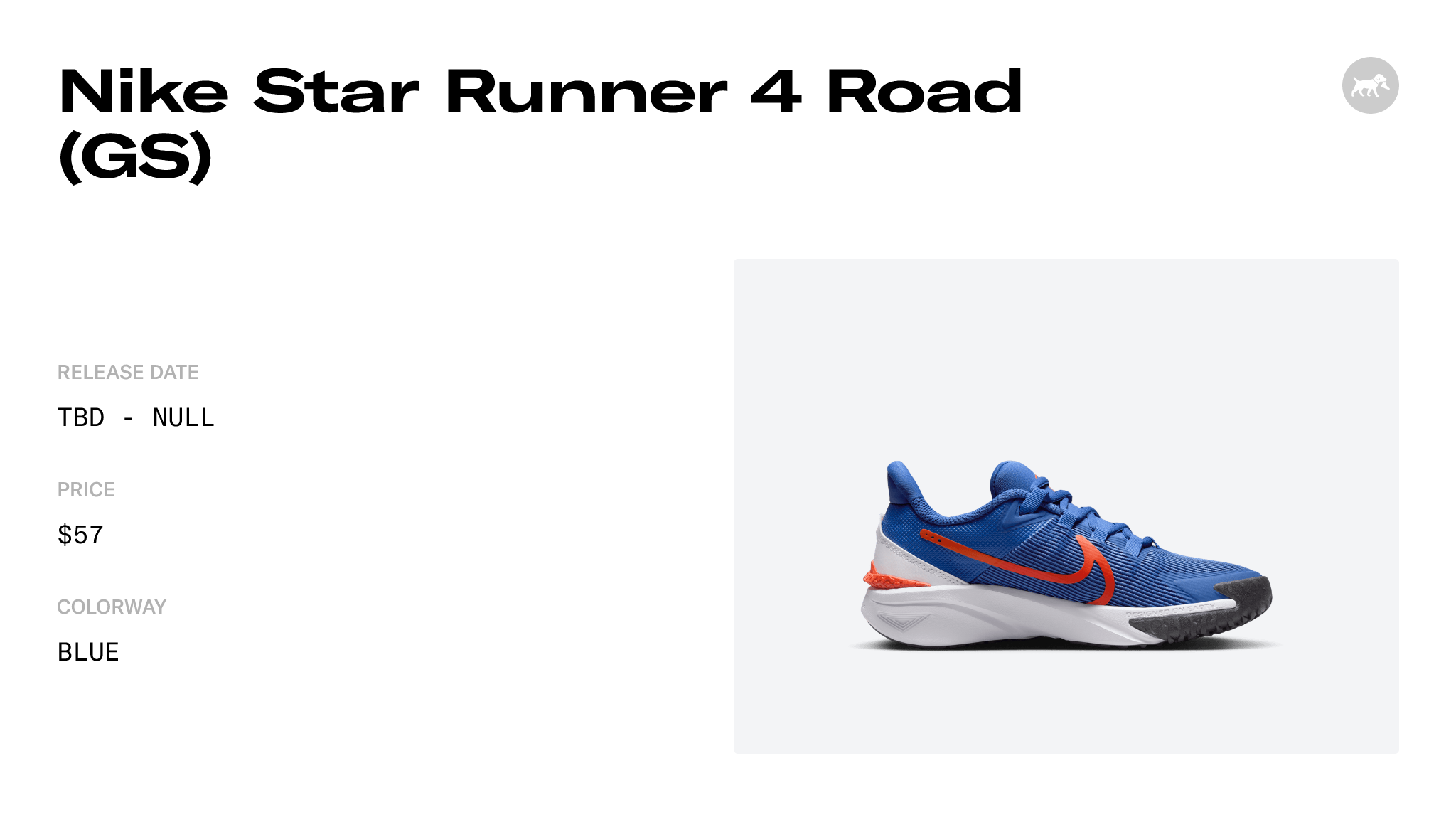 Nike Star Runner 4 Road (GS) - DX7615-402 Release Info