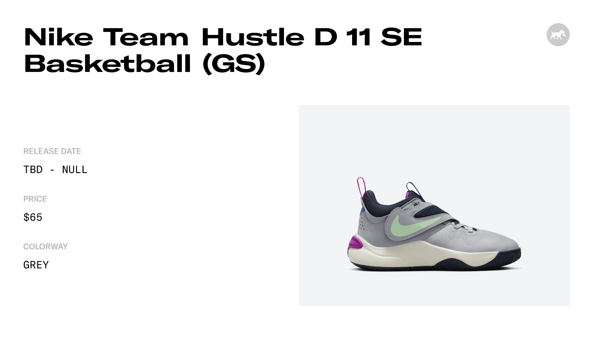 Nike Team Hustle D 11 SE Basketball (GS) - FN5005-001 Release Info