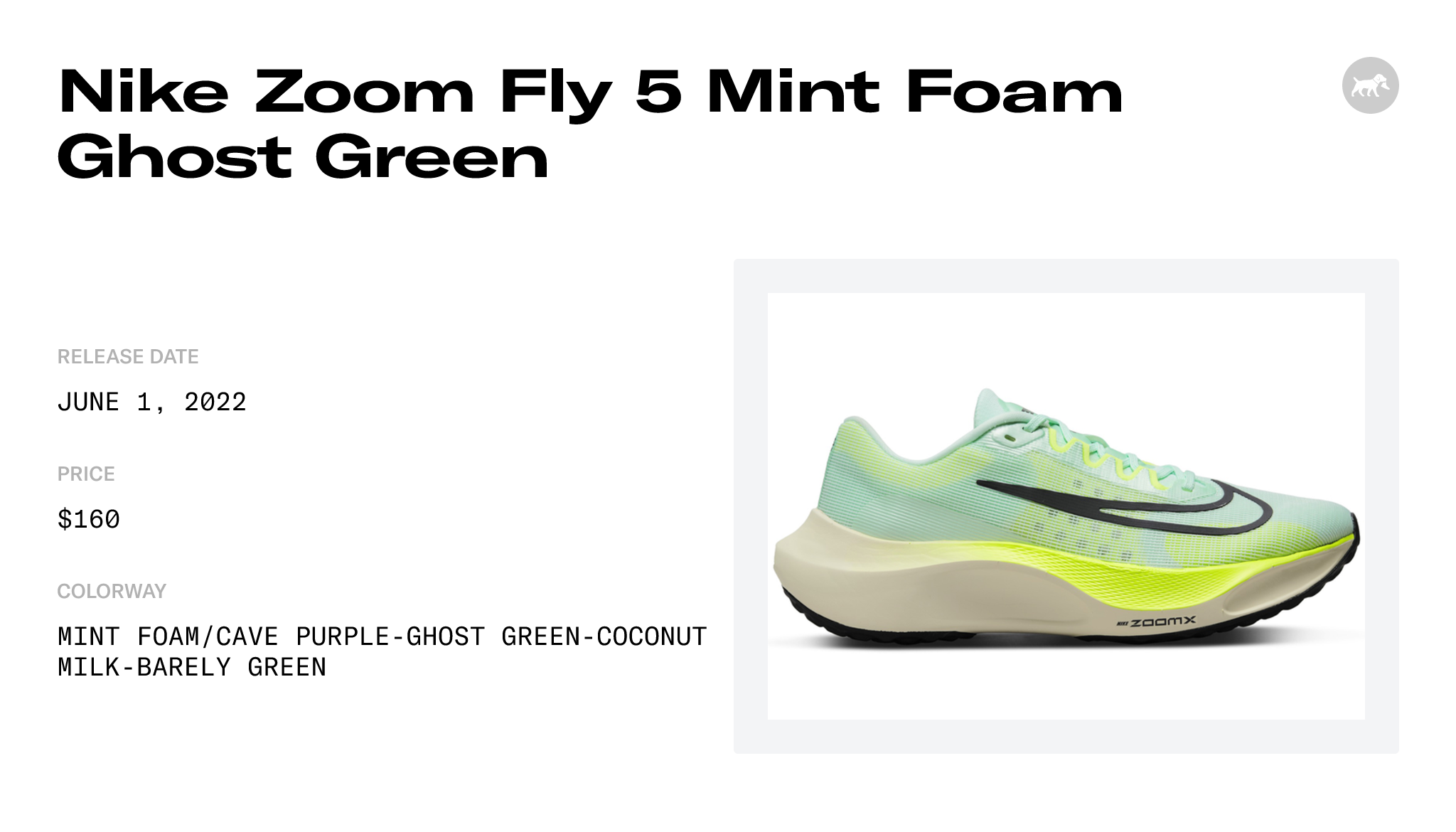 Nike Zoom Fly 5 Mint Foam Ghost Green - DM8968-300