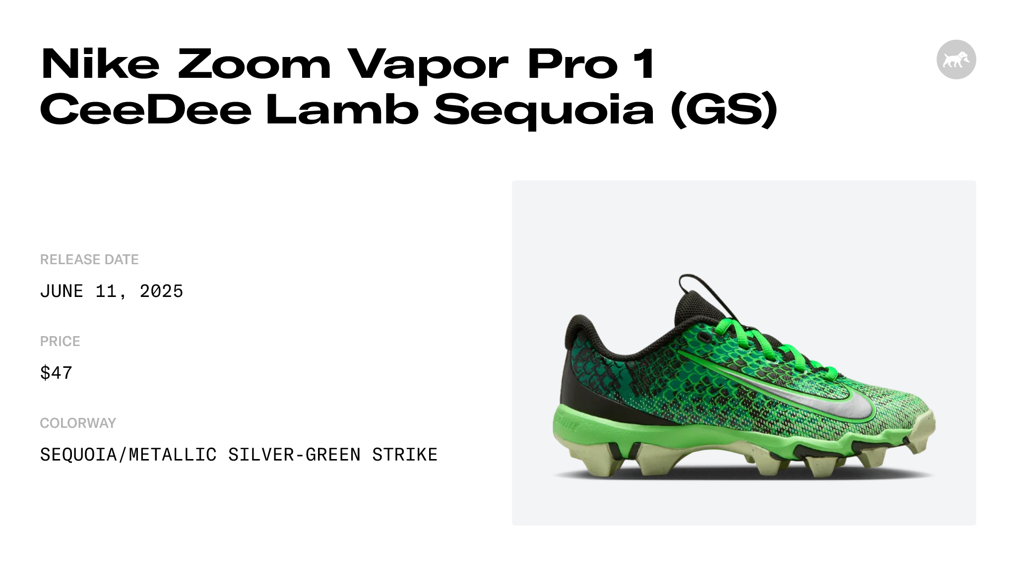 Nike Zoom Vapor Pro 1 CeeDee Lamb Sequoia (GS) - IF0110-300