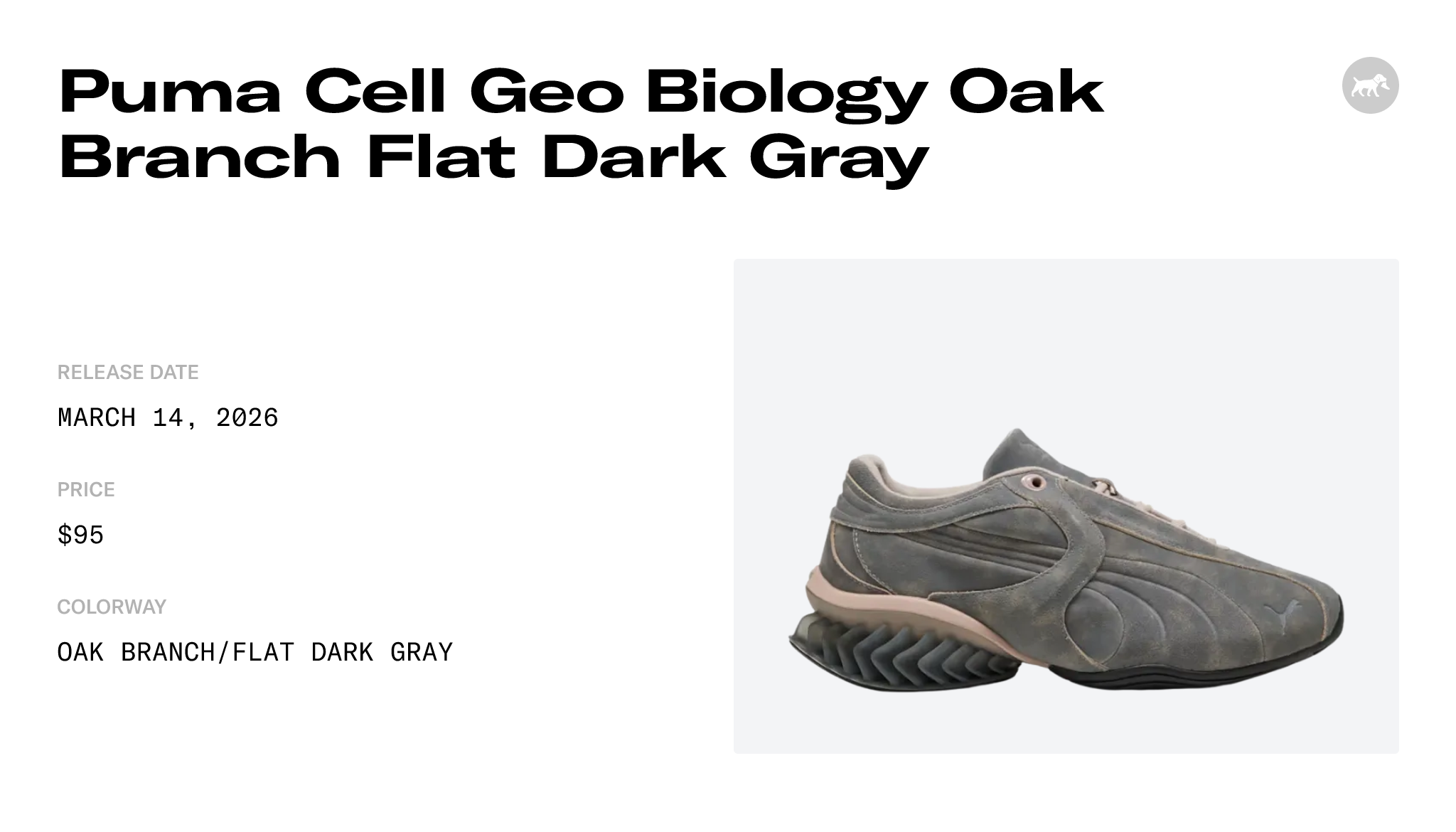 Puma Cell Geo Biology Oak Branch Flat Dark Gray - 406230-01