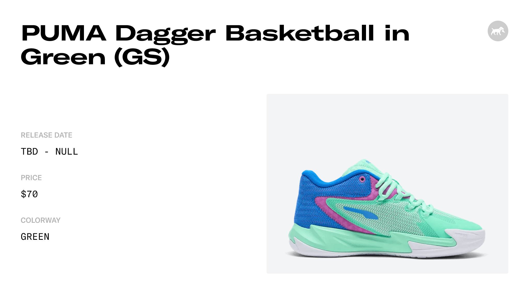 PUMA Dagger Basketball in Green (GS) - 311553-06 Release Info
