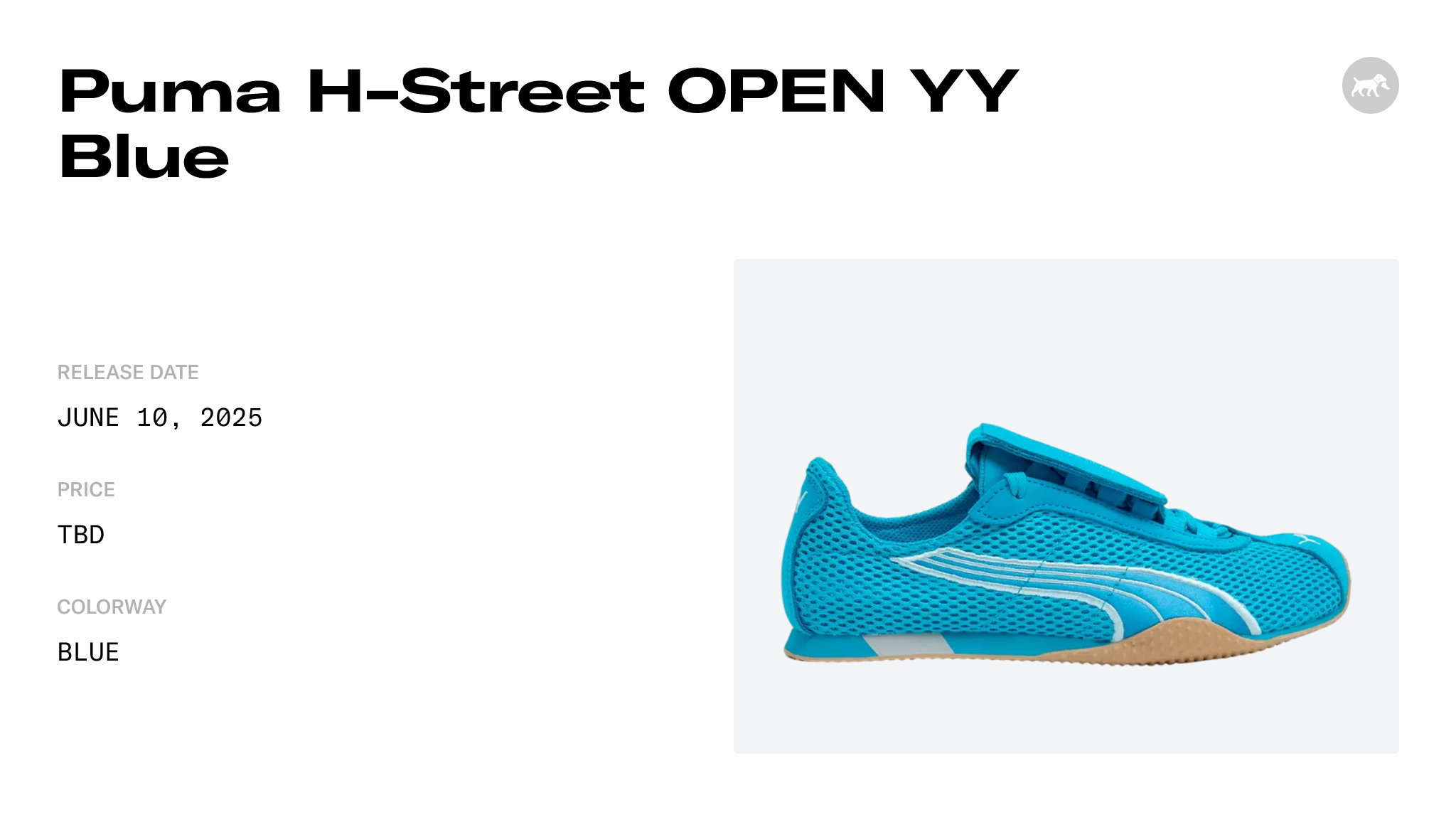 Puma H-Street OPEN YY Blue - 405046-03 Raffles & Where to Buy
