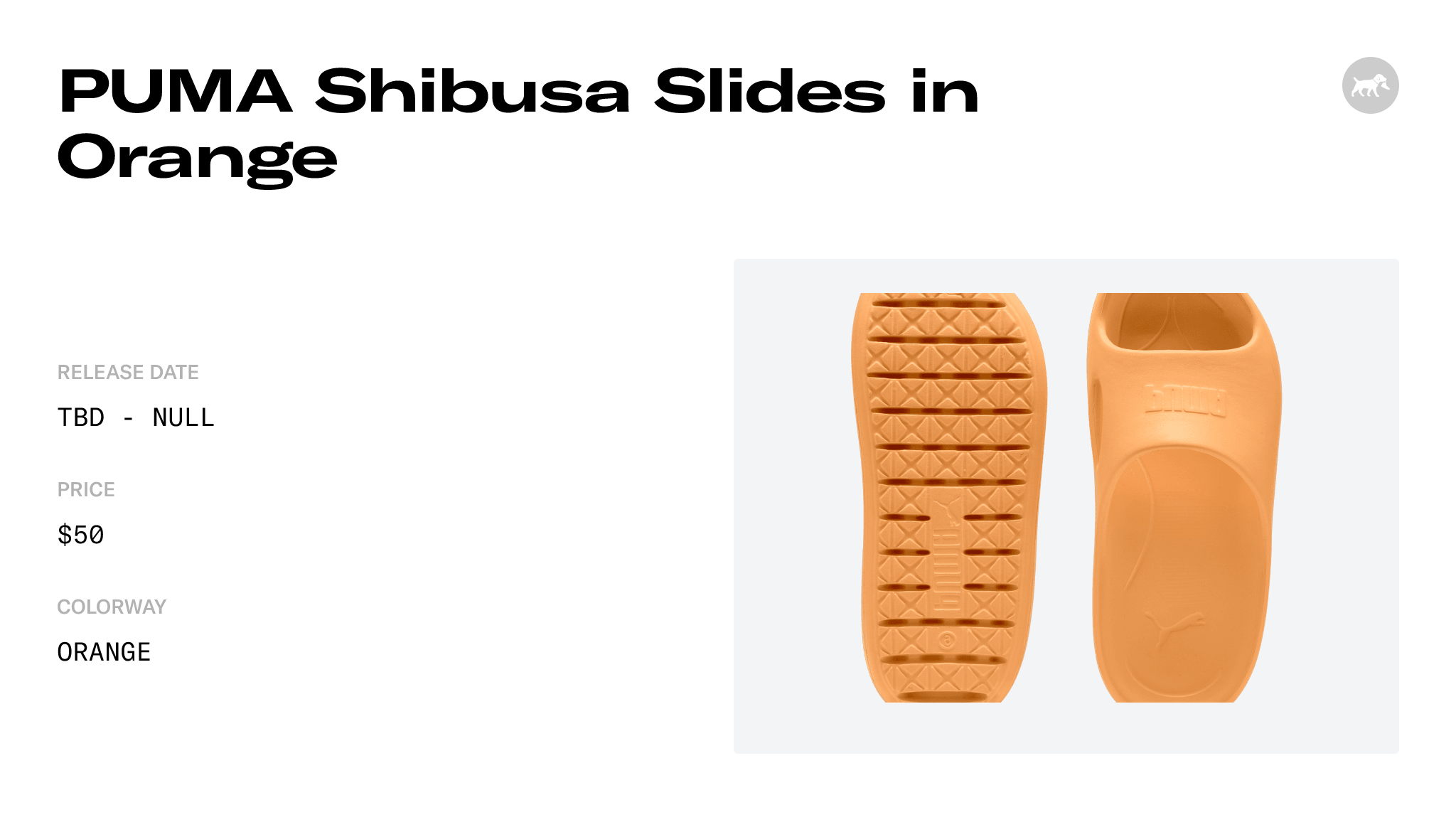 PUMA Shibusa Slides in Orange - 389082-13 Release Info